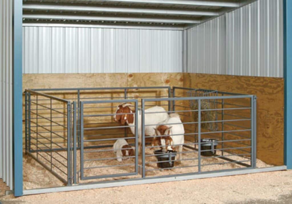 Goat Pens - Little Mountain Steel Fabrication