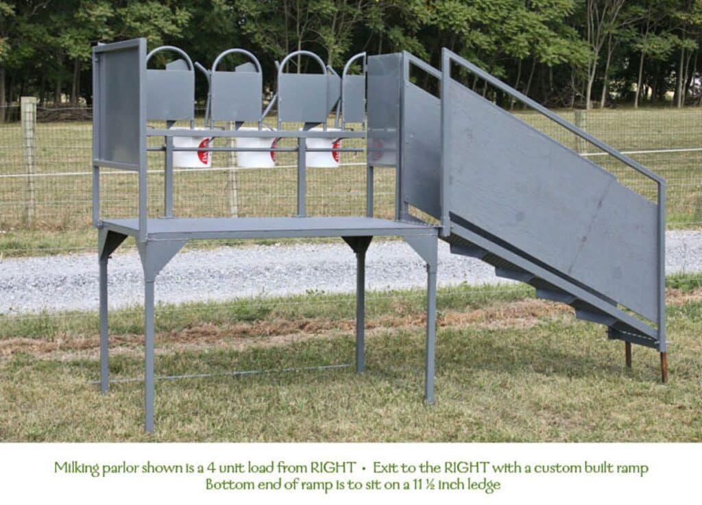 Sheep and Goat Milking Parlors - Little Mountain Steel Fabrication